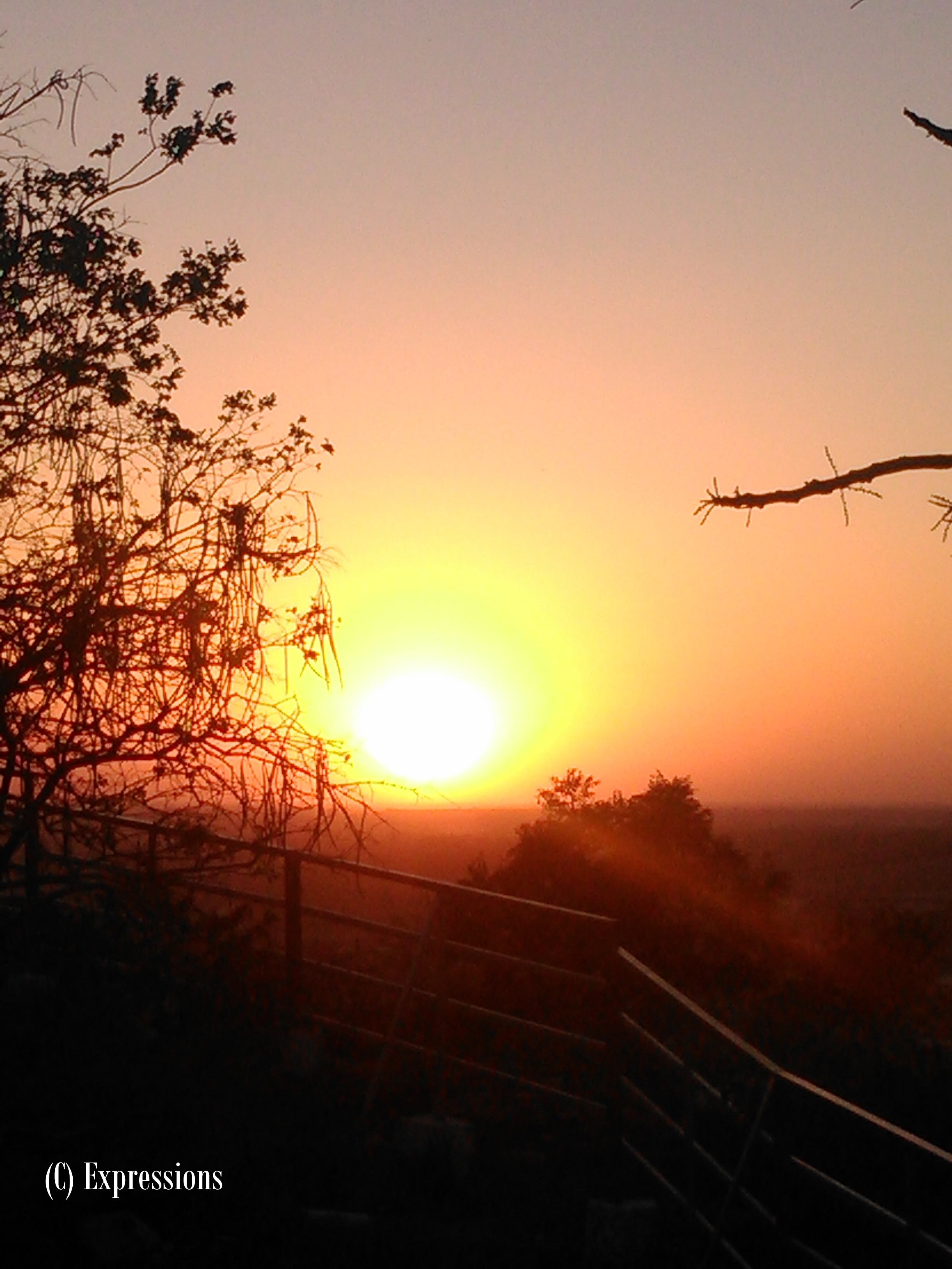 Unforgettable Sunset! - Inking Expressions!